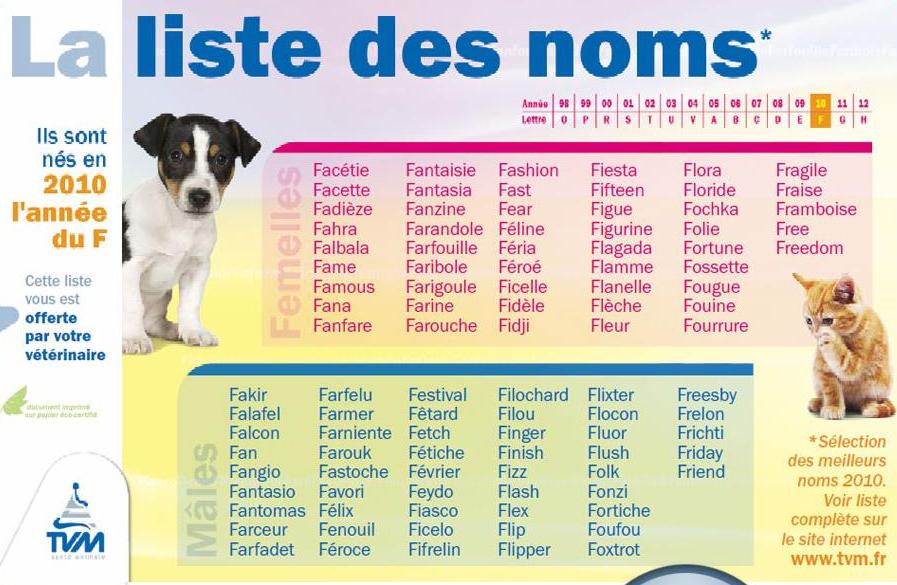  Meilleure Collection Nom Pour Chat Femelle En M 305957