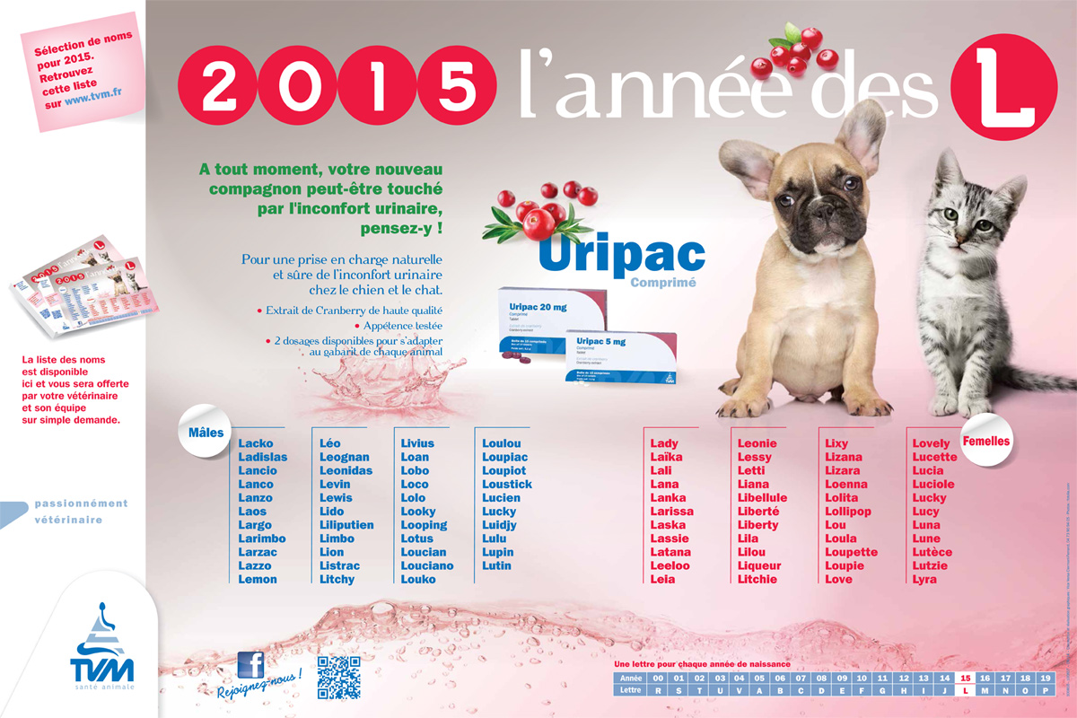 Noms Pour Chats Males Noms Pour Chats Males